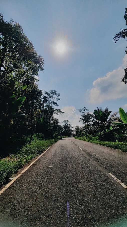 A Quiet, Cool Street without Pollution Stock Photo - Image of road ...