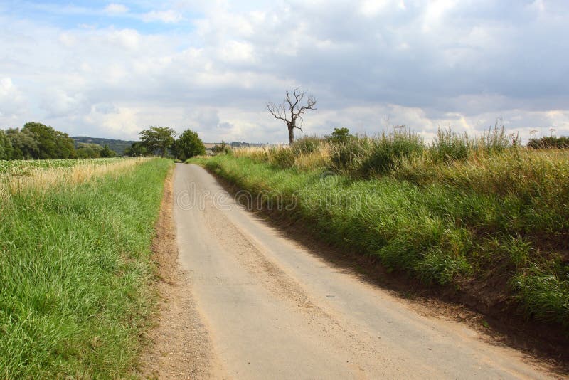 Quiet country road stock photo. Image of rural, highway - 17446580
