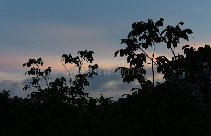 Quiet Cozy Sunset in the City Stock Image - Image of leisure, black ...