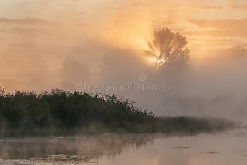 Quiet dawn on the mountain stock image. Image of rice - 152309617