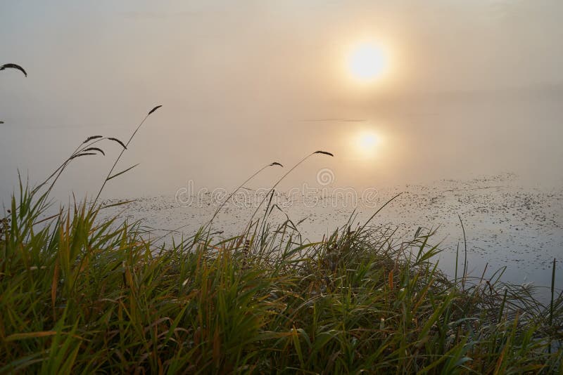 A Quiet Dawn Over the Lake in a Sunny Hazy Light. Stock Image - Image ...
