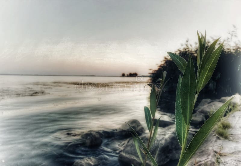 Quiet day stock image. Image of lake, green, water, silent - 126622391