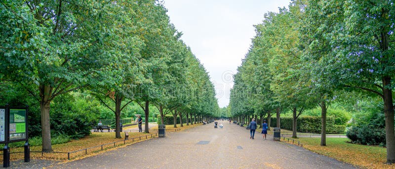 Quiet Environment with Few People Walking in Regent S Park in London ...