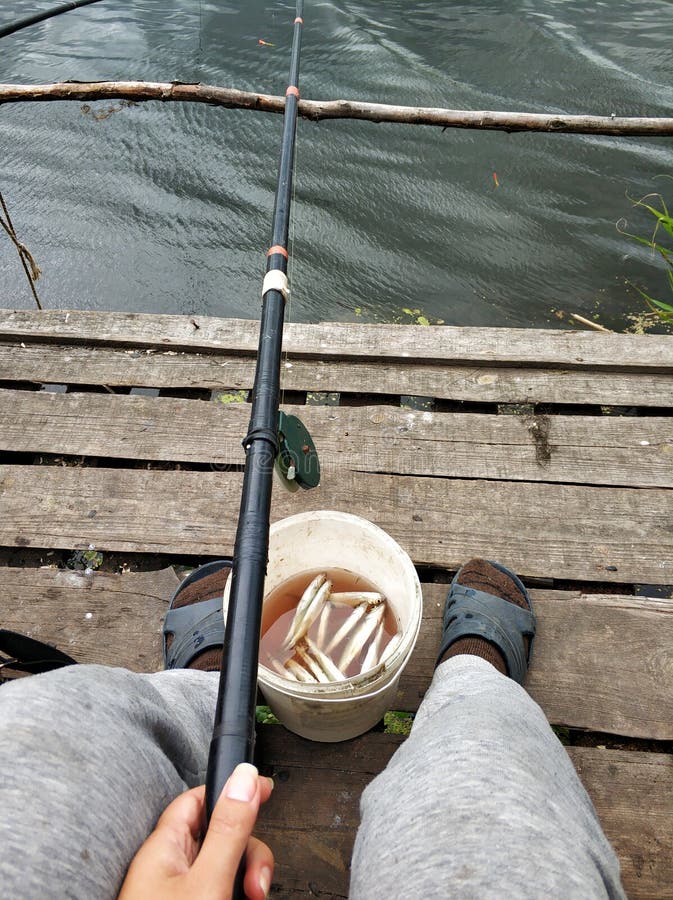Quiet Fishing Spot by the River. View of the River from the Bank Stock ...