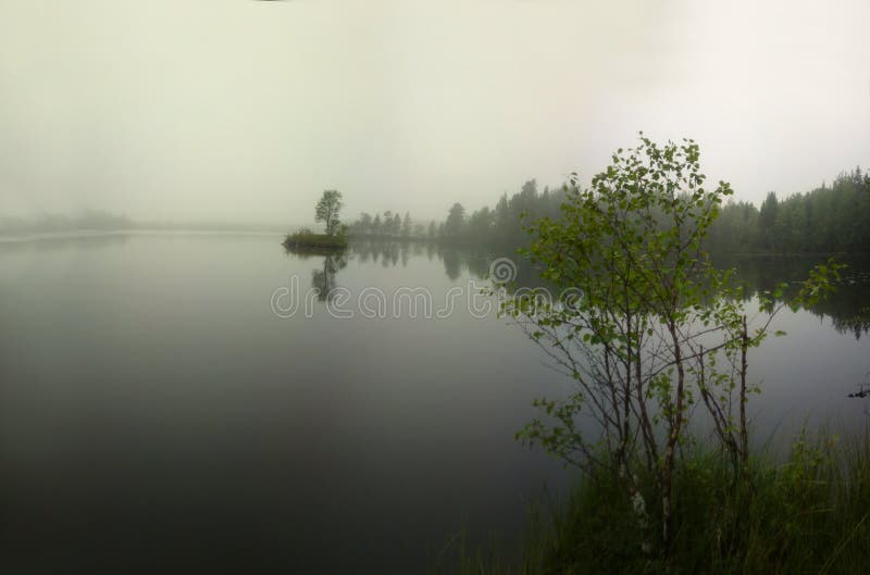 Quiet Foggy Day in Spring Forest Above River Stock Photo - Image of ...