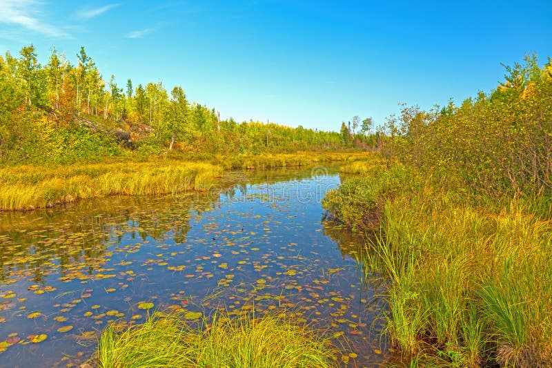 Quiet Inlet To a Boundary Waters Lake Stock Image - Image of sunny ...