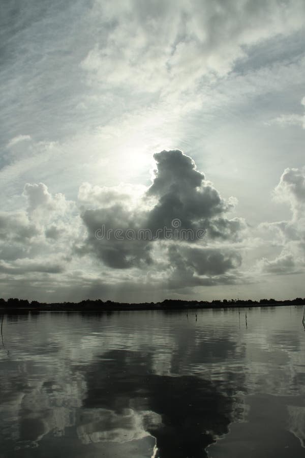 Quiet Landscape With Autumn Trees On The Water`s Edge, Beautiful ...