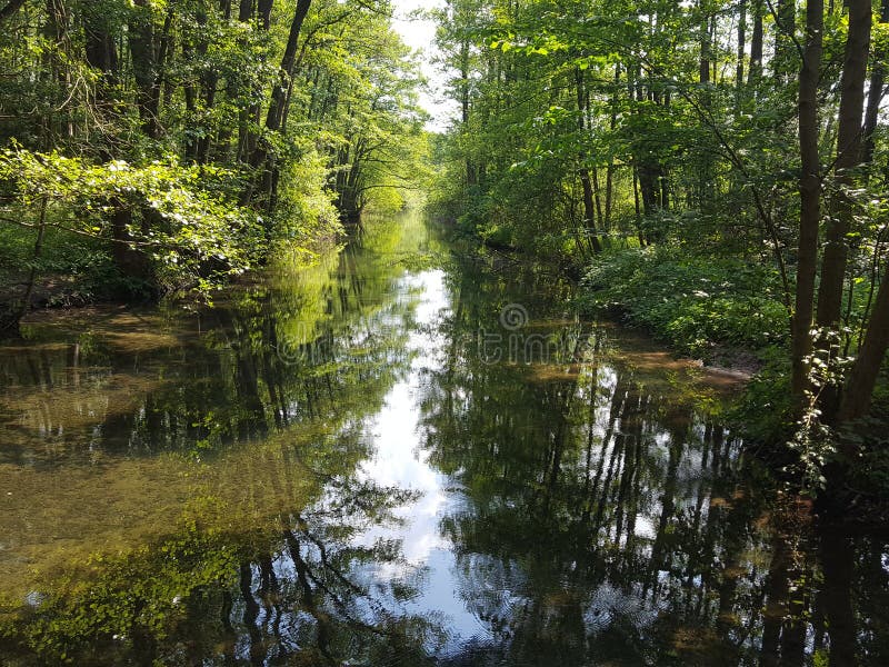 Quiet Little River on the Edge of the Forest Stock Photo - Image of ...