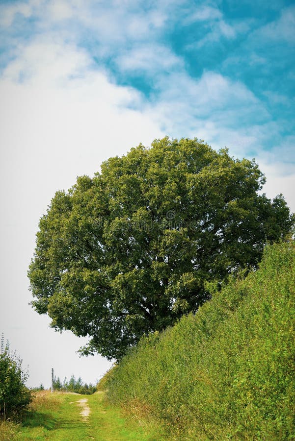 Quiet Location for an Outdoor Walk or Hike in British Countryside Stock ...
