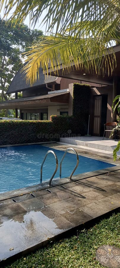 Quiet Moments: Embracing Calm by the Pool Stock Photo - Image of tree ...