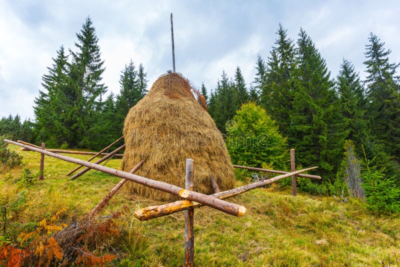 Quiet Mountain Pasture Scene Stock Image - Image of drying, nature ...