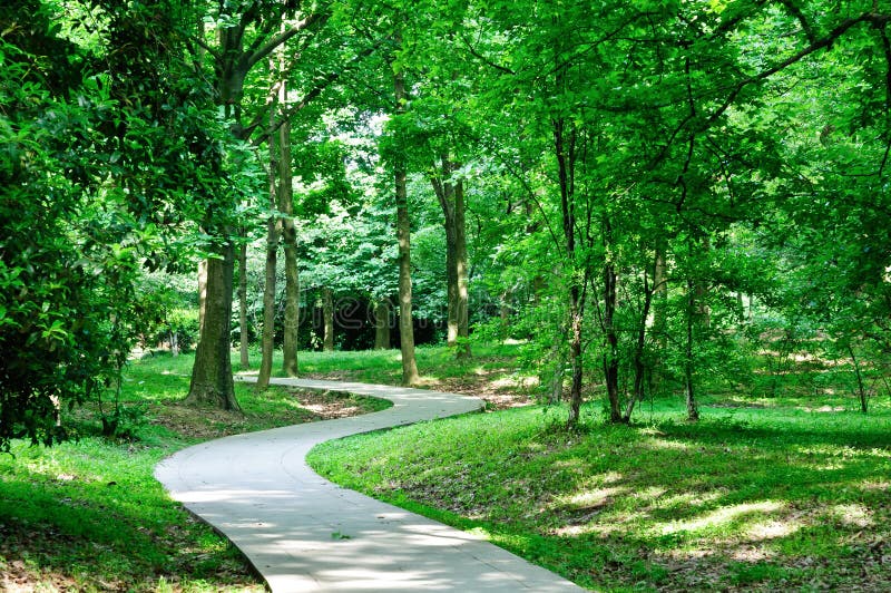 Quiet path stock image. Image of holidays, gardening - 27683783