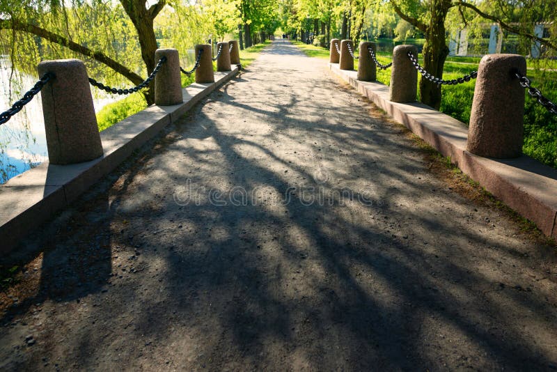 Quiet Path in a Dark Forest in the Spring Stock Image - Image of ...