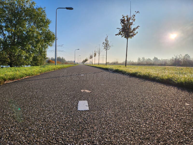 Quiet Paved Pathway with Morning Sunlight and Tree-Lined Horizon Stock ...