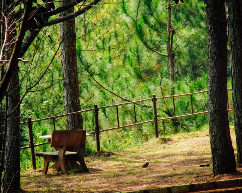 Quiet stock image. Image of peaceful, space, parkbench - 130673159