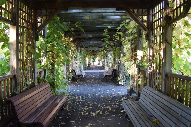 Quiet and Relaxing Park Area Stock Image - Image of colors, rest: 101961403