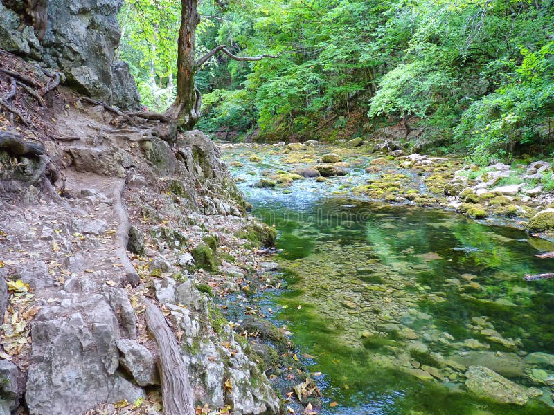 Peaceful Stream stock photo. Image of land, meditation - 14359394