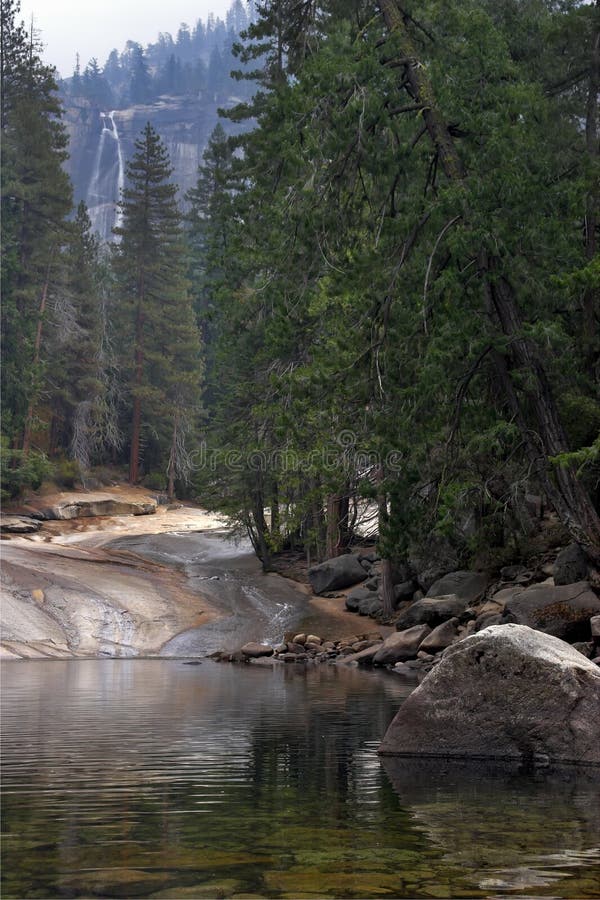 Quiet river backwater stock image. Image of deciduous - 179877649