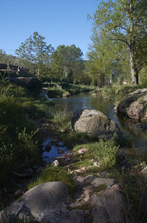 Quiet River on a Bright Spring Morning Stock Image - Image of mist ...