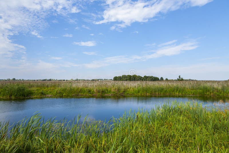Quiet river. stock image. Image of calm, quiet, reflected - 61922579