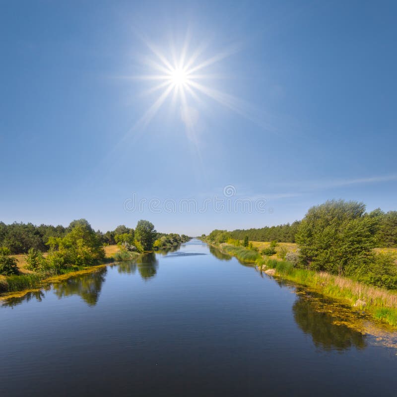 Quiet River Flow through a Forest Under Sparkle Sun Stock Image - Image ...