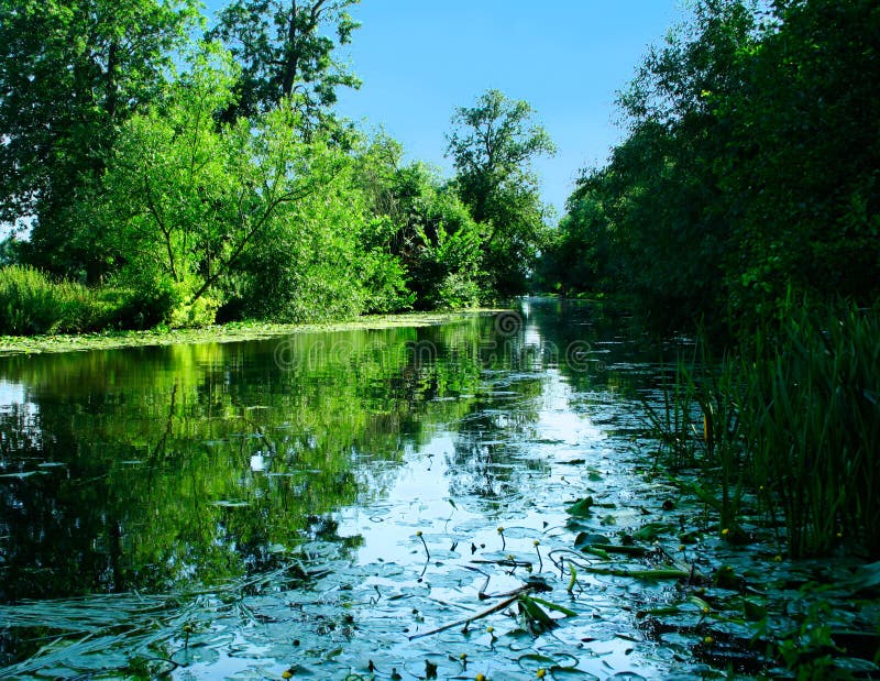 Quiet river scenery stock photo. Image of nature, calm - 1398742