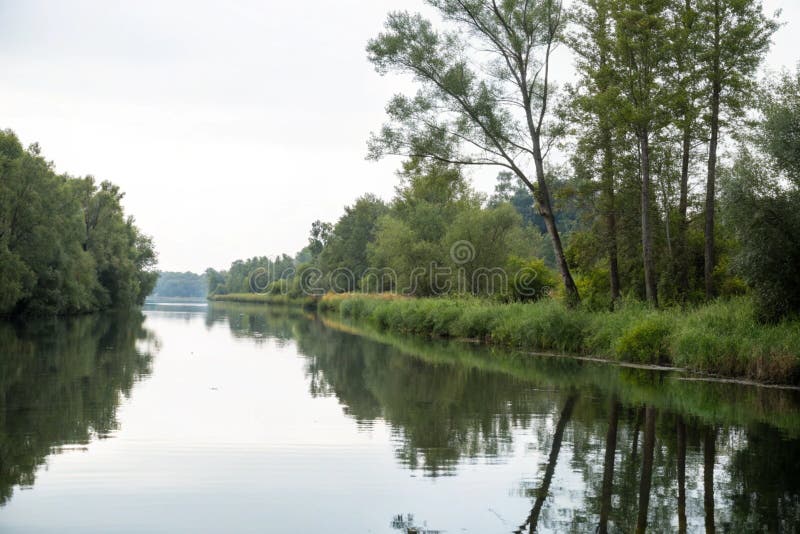 Quiet River with Trees on Opposite Bank Stock Illustration ...