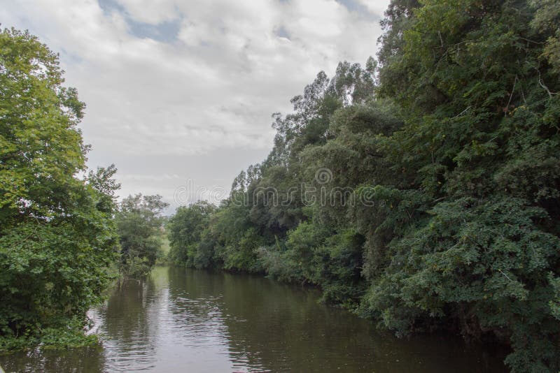Quiet River Nature Countryside Asian, Green Park with Tree and Sunlight ...