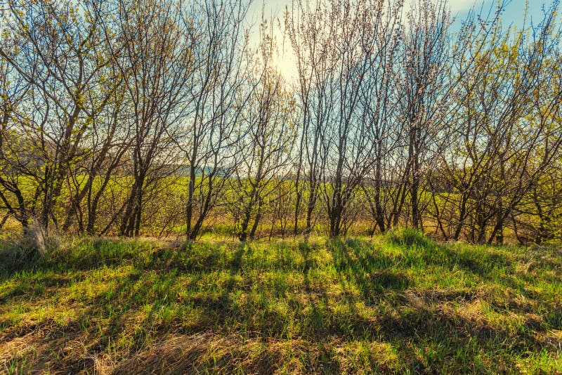 Quiet Rural Spring Landscape Stock Image - Image of scene, outdoor ...