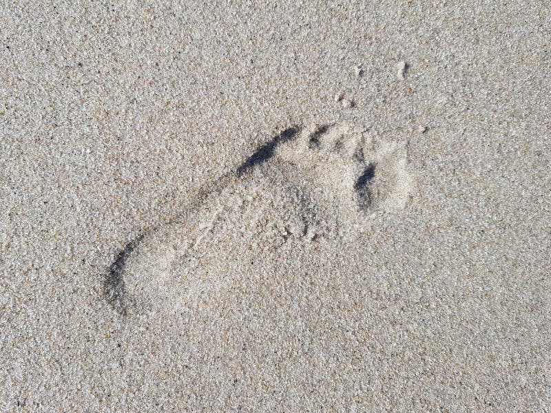 Man`s Footprint on the Seashore Stock Image - Image of blue, concrete ...