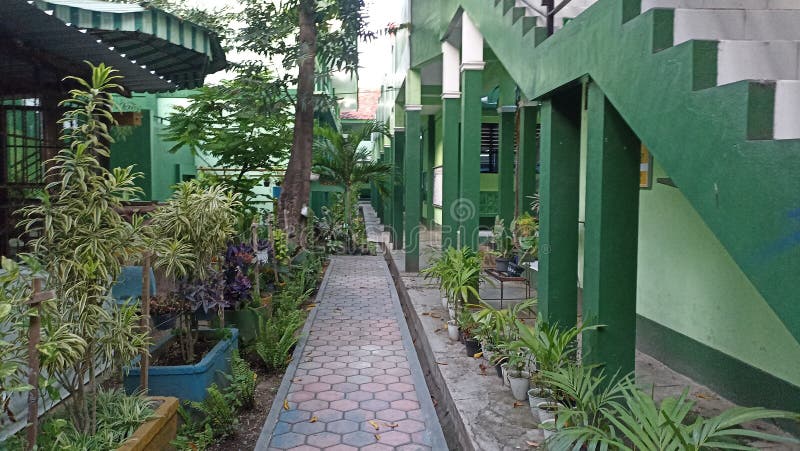 The School Garden is Decorated with Beautiful Trees and Ornamental ...