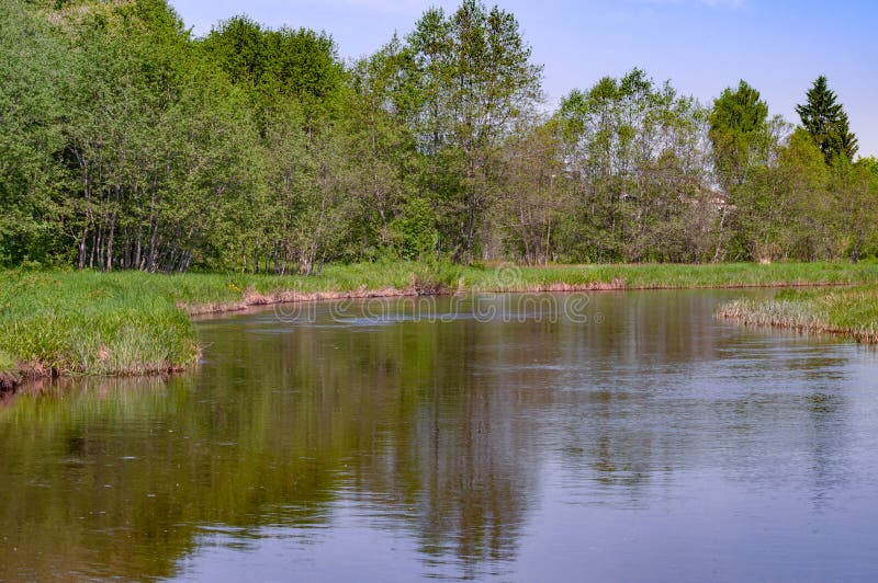 A Quiet, Small River, with Overgrown Shrubs and Trees Stock Image ...