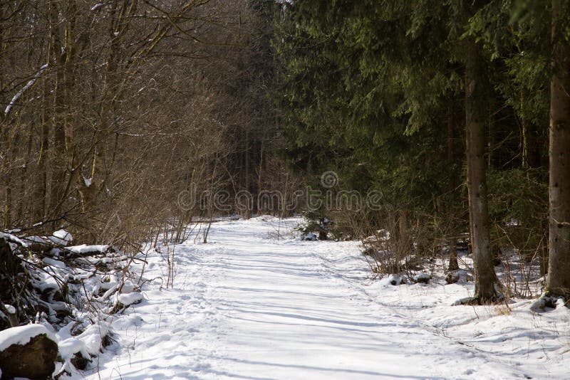 A Quiet, Snowy Path on a Sunny Day Stock Photo - Image of rhoen, people ...