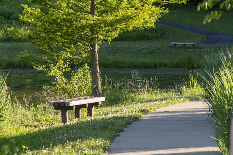 A Quiet Spot with Park Benches Along a Curved Walking Path Next To a ...