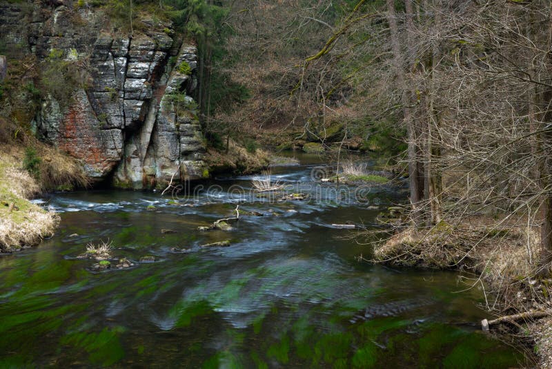 Quiet Spring River in the Forest Stock Image - Image of forest, foliage ...