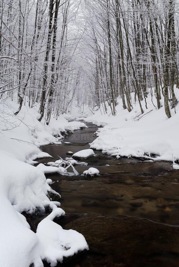 Quiet stream stock image. Image of waterfall, white, tree - 12345045