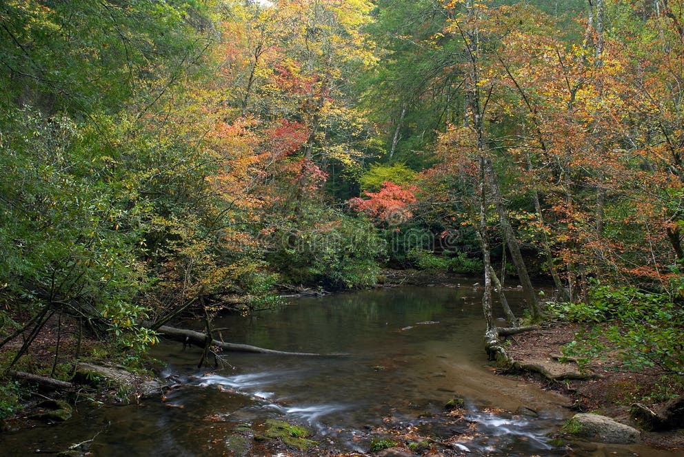 The quiet stream stock image. Image of creek, calmness - 603515