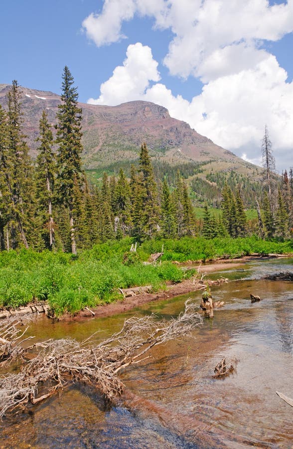 Quiet Stream Emptying Into An Alpine Lake Stock Photo - Image of pond ...