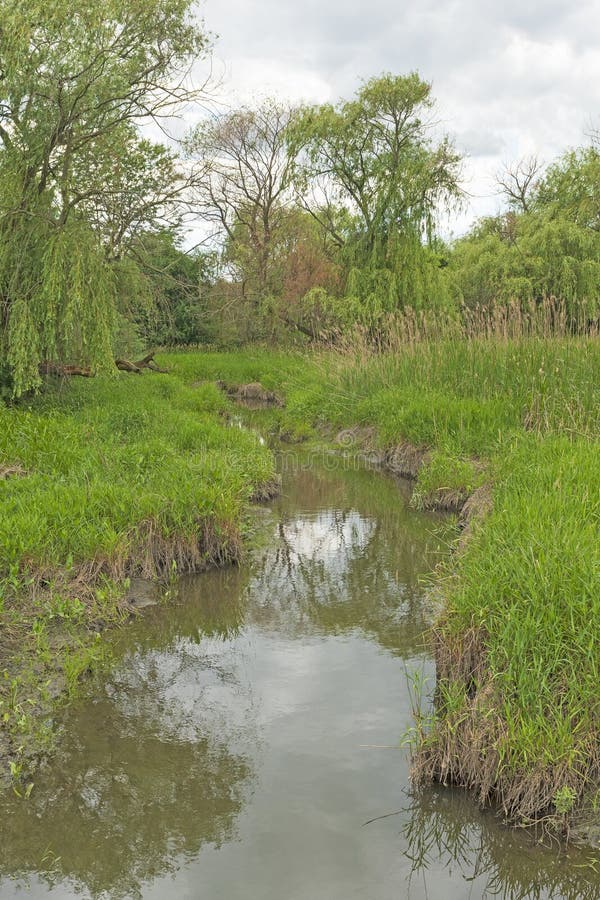 Quiet Stream Emptying into an Alpine Lake Stock Photo - Image of pond ...