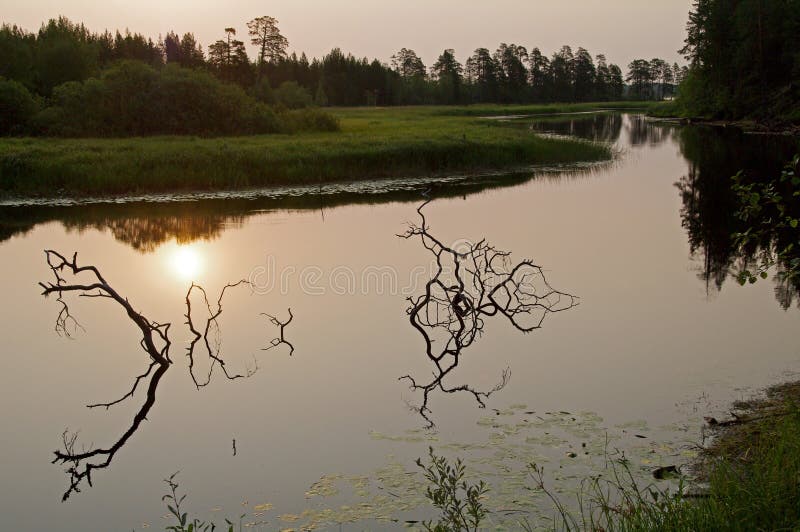 Quiet Summer Evening on the River. Stock Image - Image of snag, quiet ...