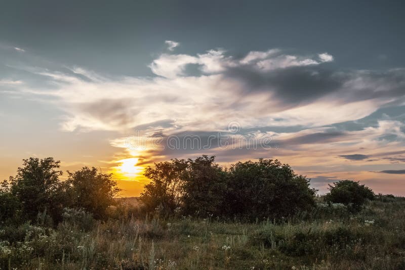 Quiet Summer Evening, Sunset in the Field, Peace and Quiet_ Stock Photo ...