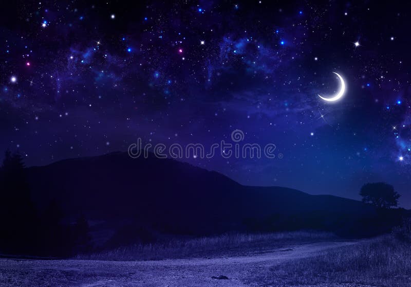 Quiet summer night stock photo. Image of field, night - 48484800