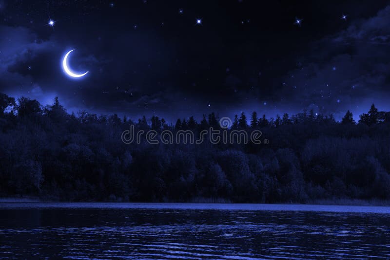 Quiet summer night stock photo. Image of field, night - 48484800