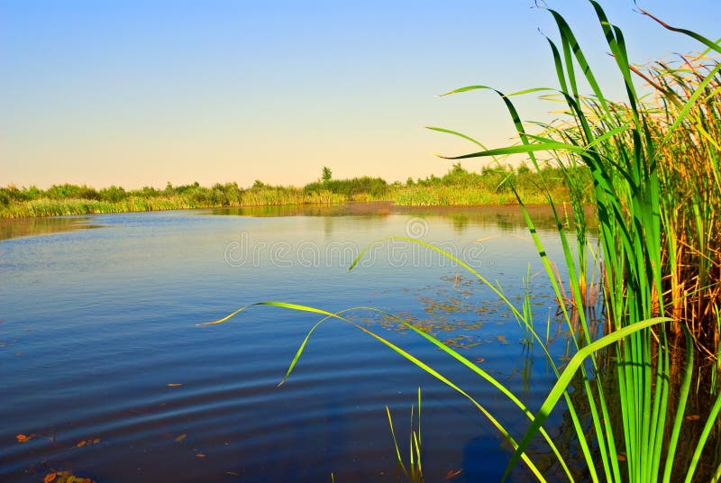Quiet summer river stock image. Image of beautiful, magnificent - 16436065