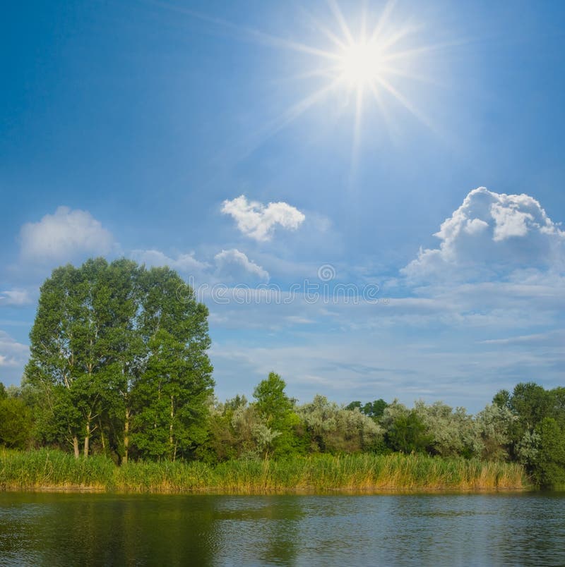 Quiet Summer River with Forest on Coast at Sunny Day Stock Image ...