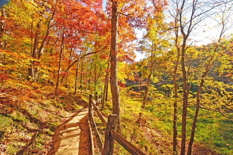Quiet Trail through Fall Forest Colors Stock Photo - Image of state ...
