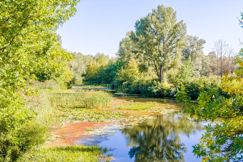 Quiet River in the Park stock photo. Image of kiev, calm - 29843174