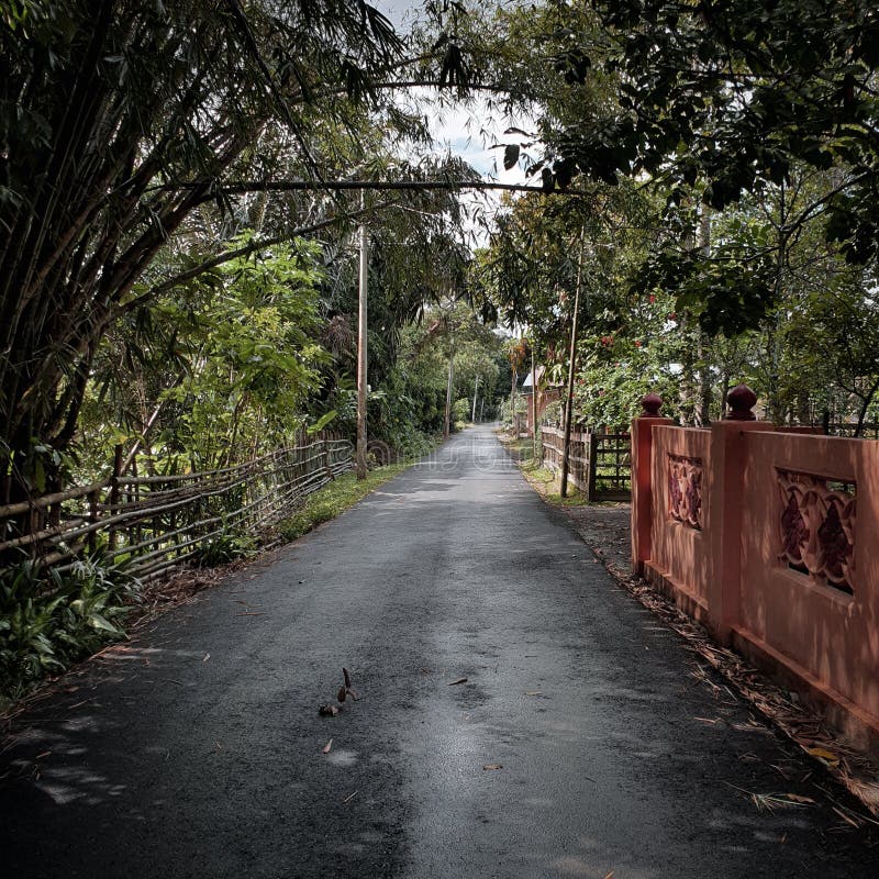 Quiet Village Road with Bamboo Tree Stock Image - Image of village ...