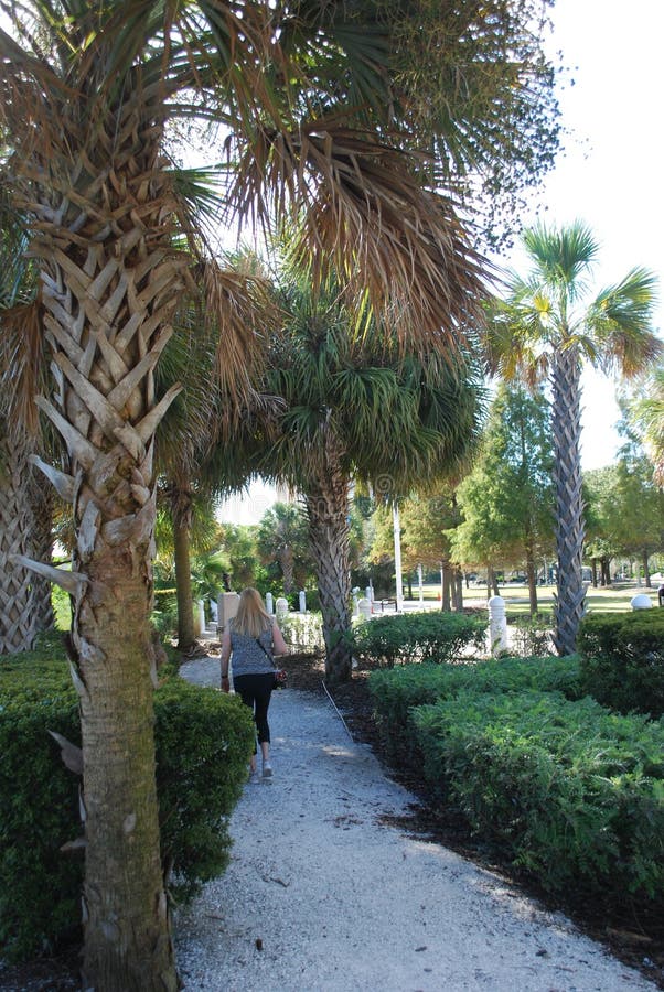 Quiet walk editorial photo. Image of florida, walk, tampa - 93181286