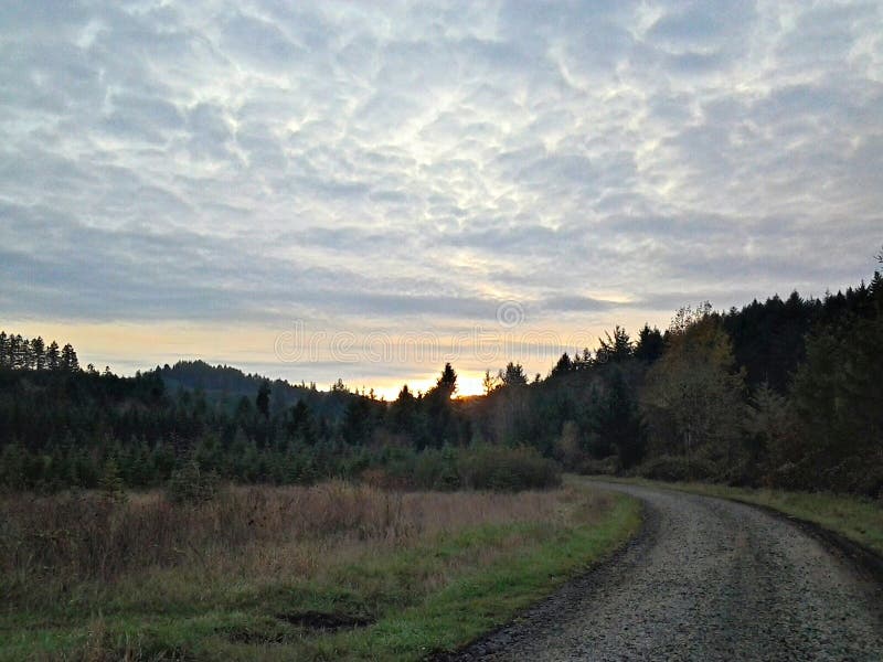 Quiet Walk through the Park, with Fall Foliage Adding To Peaceful ...